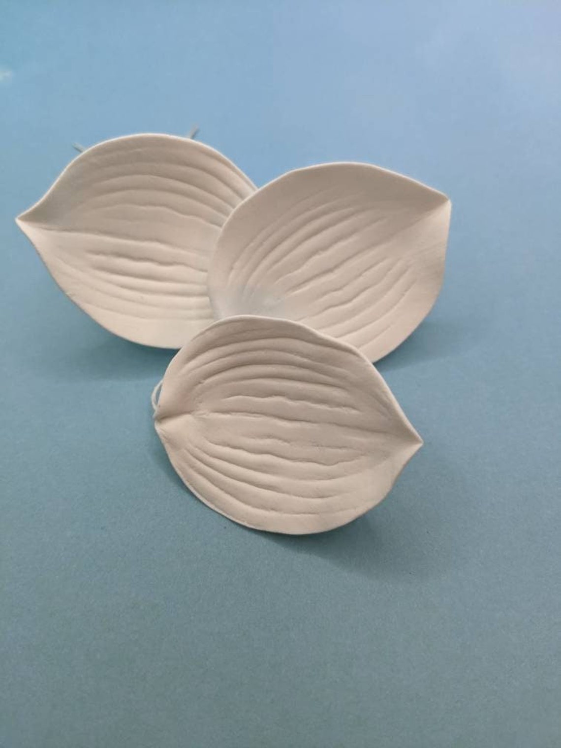 WHITE LEAVES ORCHID Gum Paste, Flower Cake, Cupcakes, Cake Decorations ...
