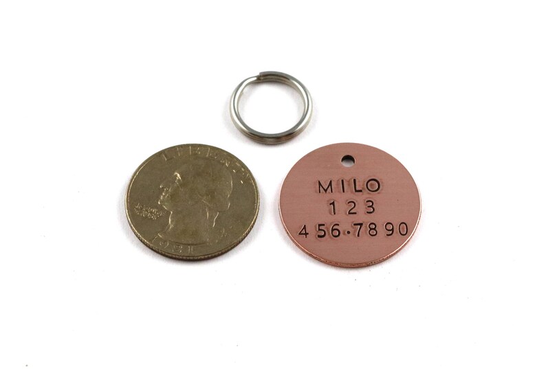 Metal Dog Tag - Personalized Dog Collar Tag - Pet Name Tag - Customized ...
