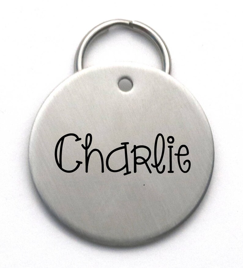 Large Stainless Steel Dog Tag - Whimsical Font - Unique Pet Name Tag - Etsy