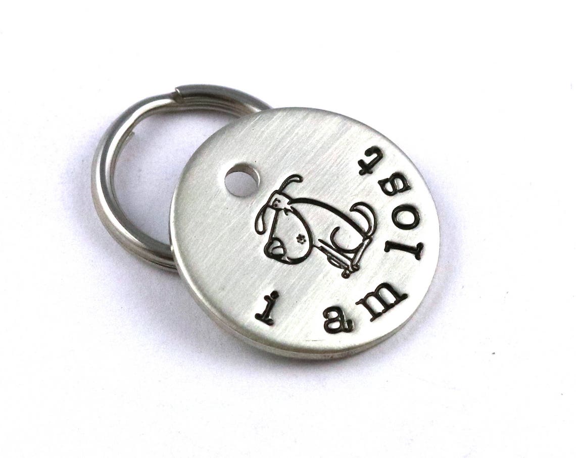 I Am Lost Small Dog Tag Sturdy Metal Pet ID | Etsy