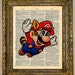Mario Raccoon Mario Dictionary Art - Etsy