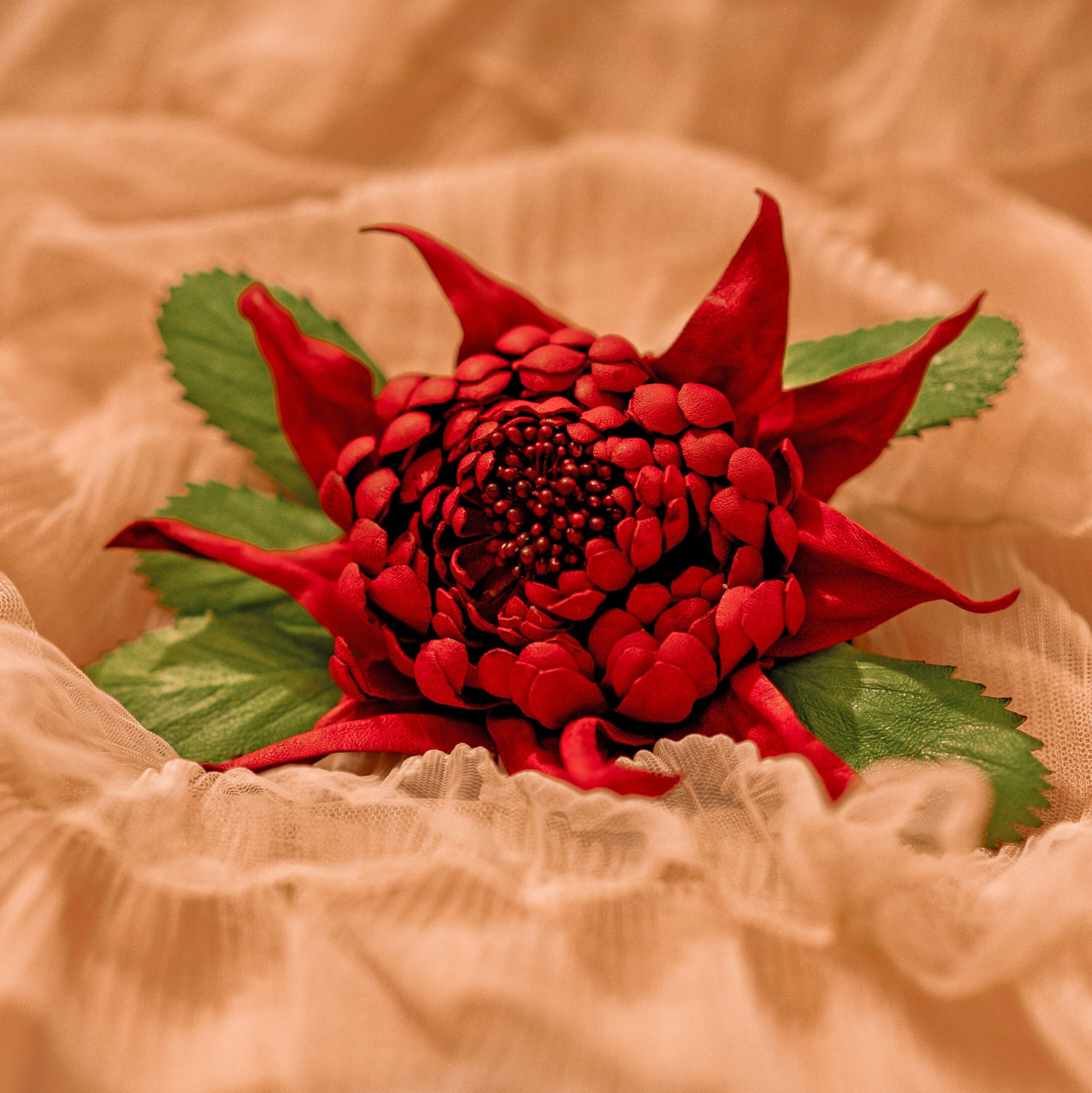 LEATHER FLOWER Red Native Australian Waratah Pin Brooch Hair - Etsy