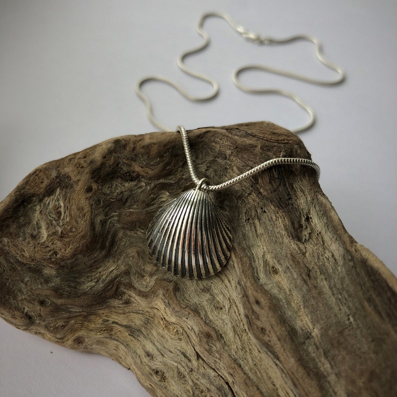 Large Silver Cockle Shell Pendant Eco-friendly Shell - Etsy UK
