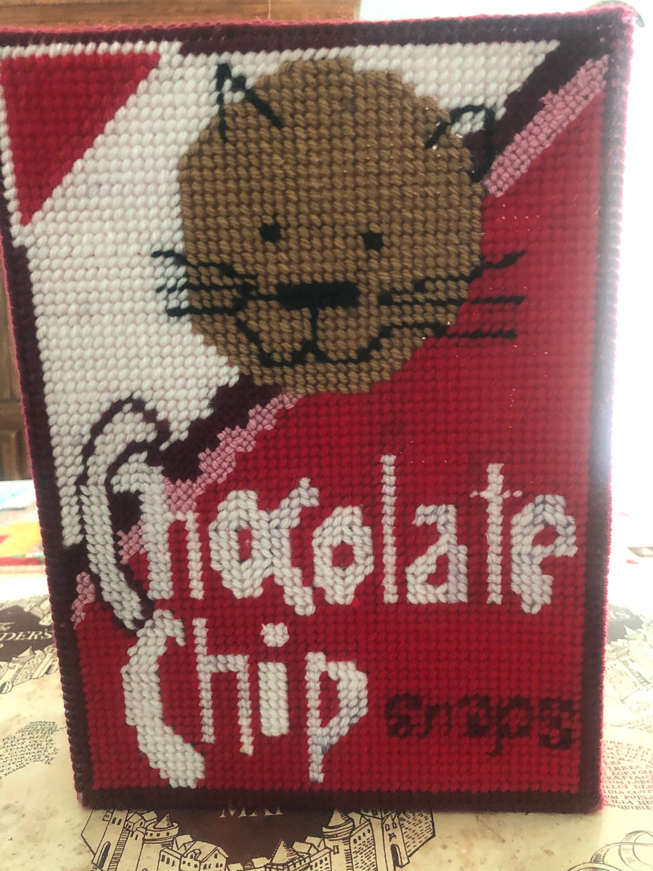 Famous Chocolate Chip Snap Box Made in Plastic Canvas - Etsy