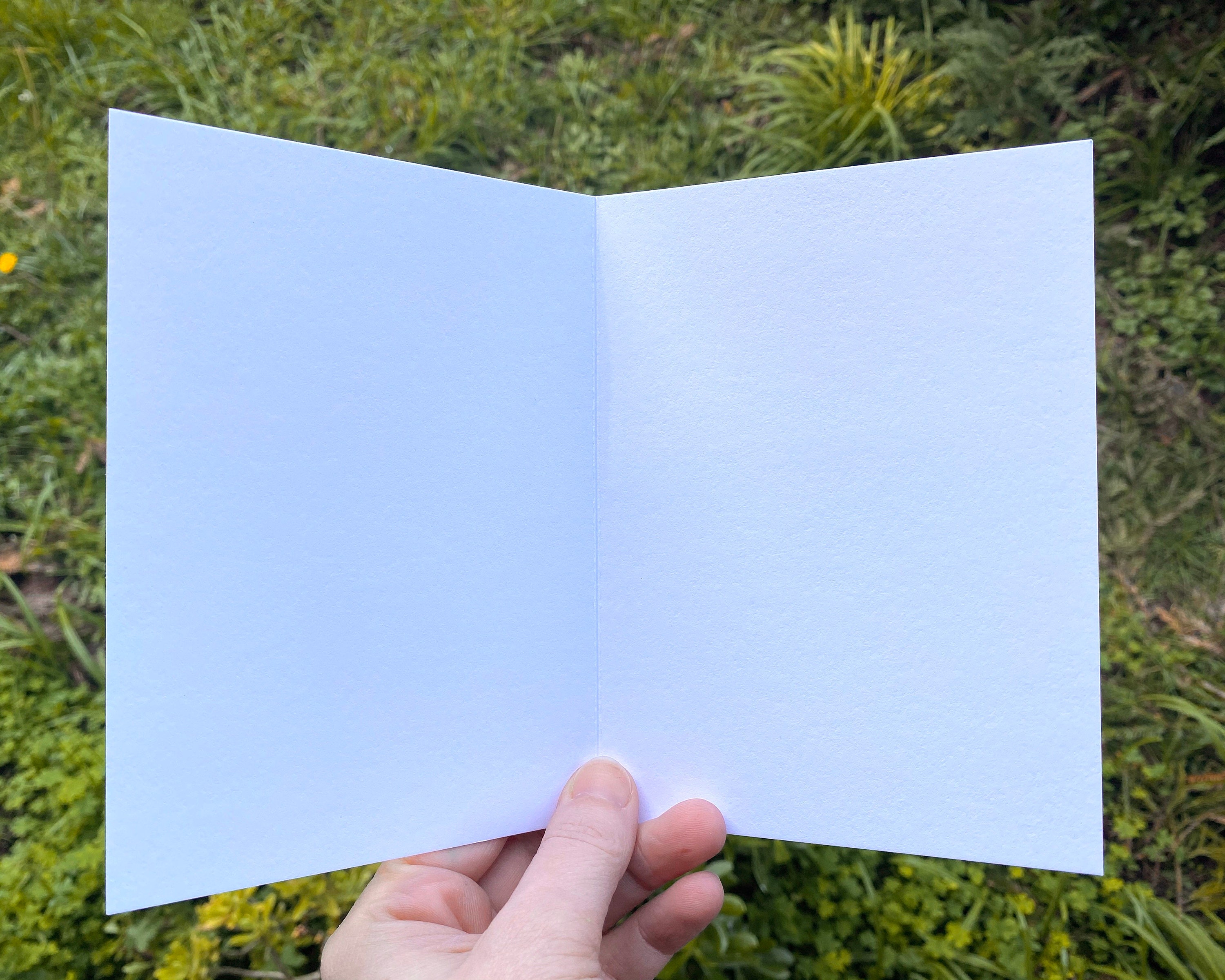 California Poppy Flower Note Card, Botanical Wildflower Stationery ...