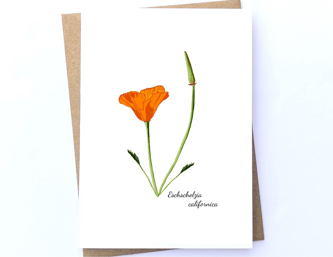 California Poppy Flower Note Card, Botanical Wildflower Stationery ...
