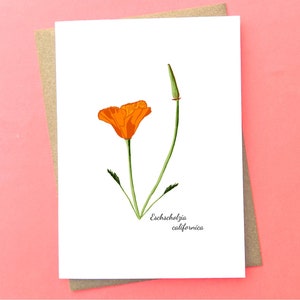 California Poppy Flower Note Card Botanical Wildflower - Etsy