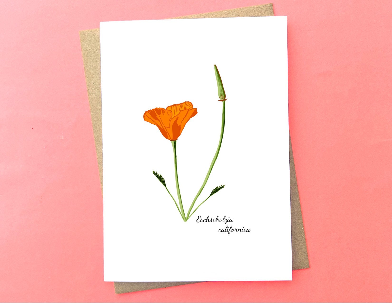 California Poppy Flower Note Card, Botanical Wildflower Stationery ...