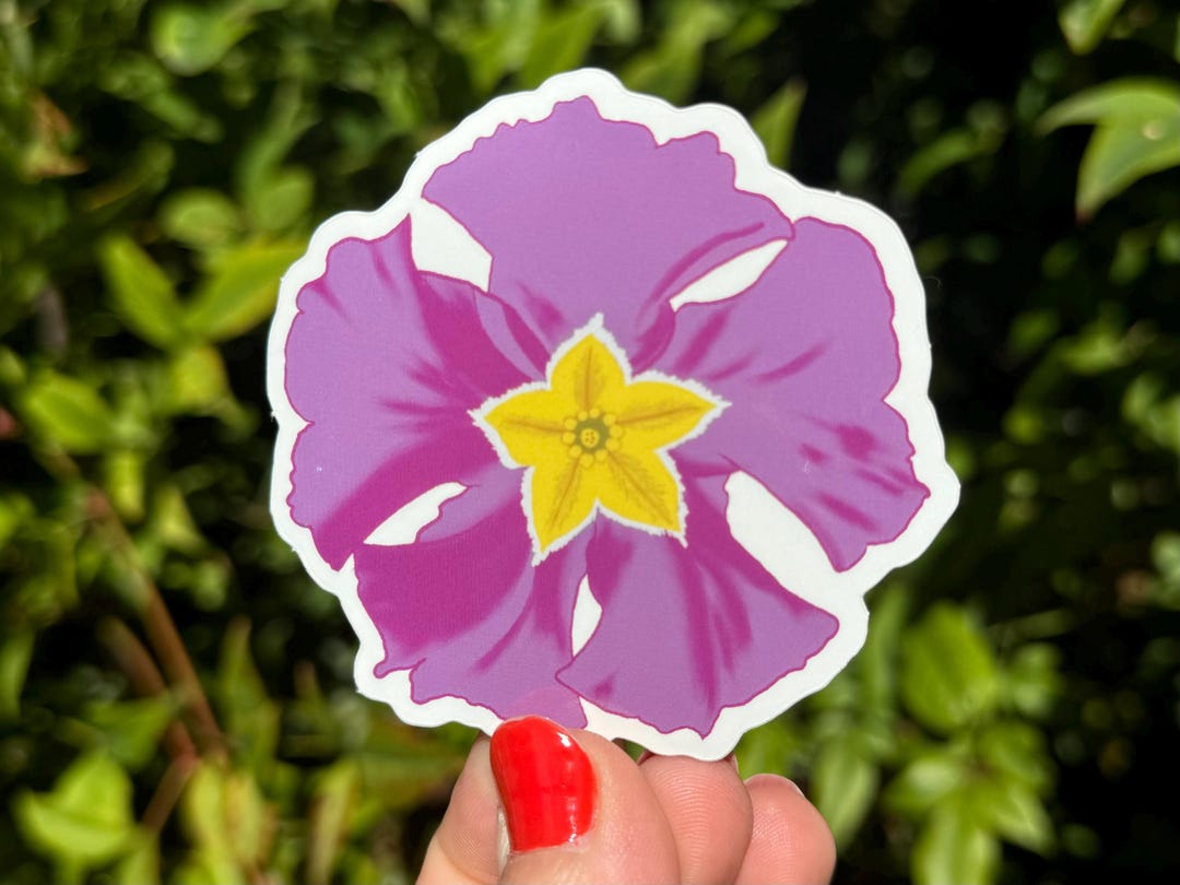 Primrose Die Cut Vinyl Sticker, Decal for Water Bottle, Laptop, or Car ...