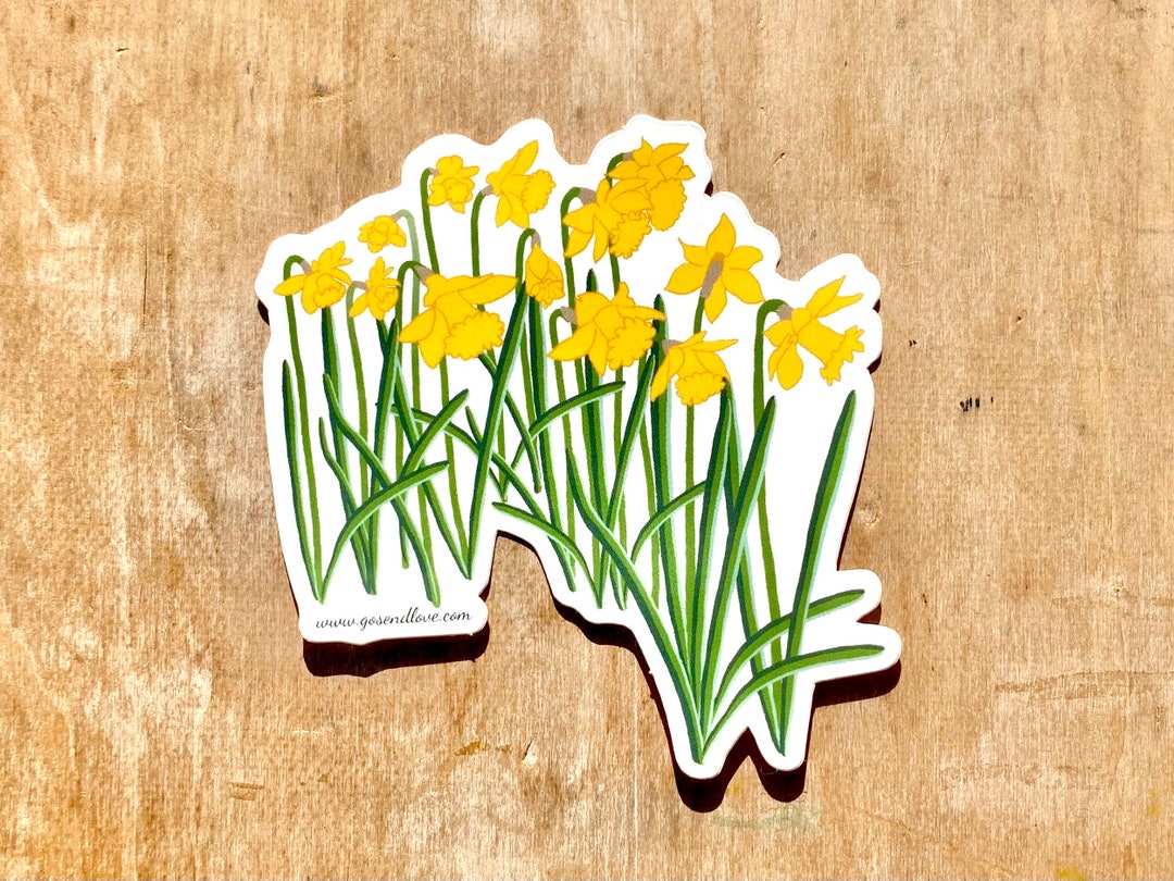 Daffodils Die Cut Vinyl Sticker, Decal for Water Bottle, Laptop, or Car ...