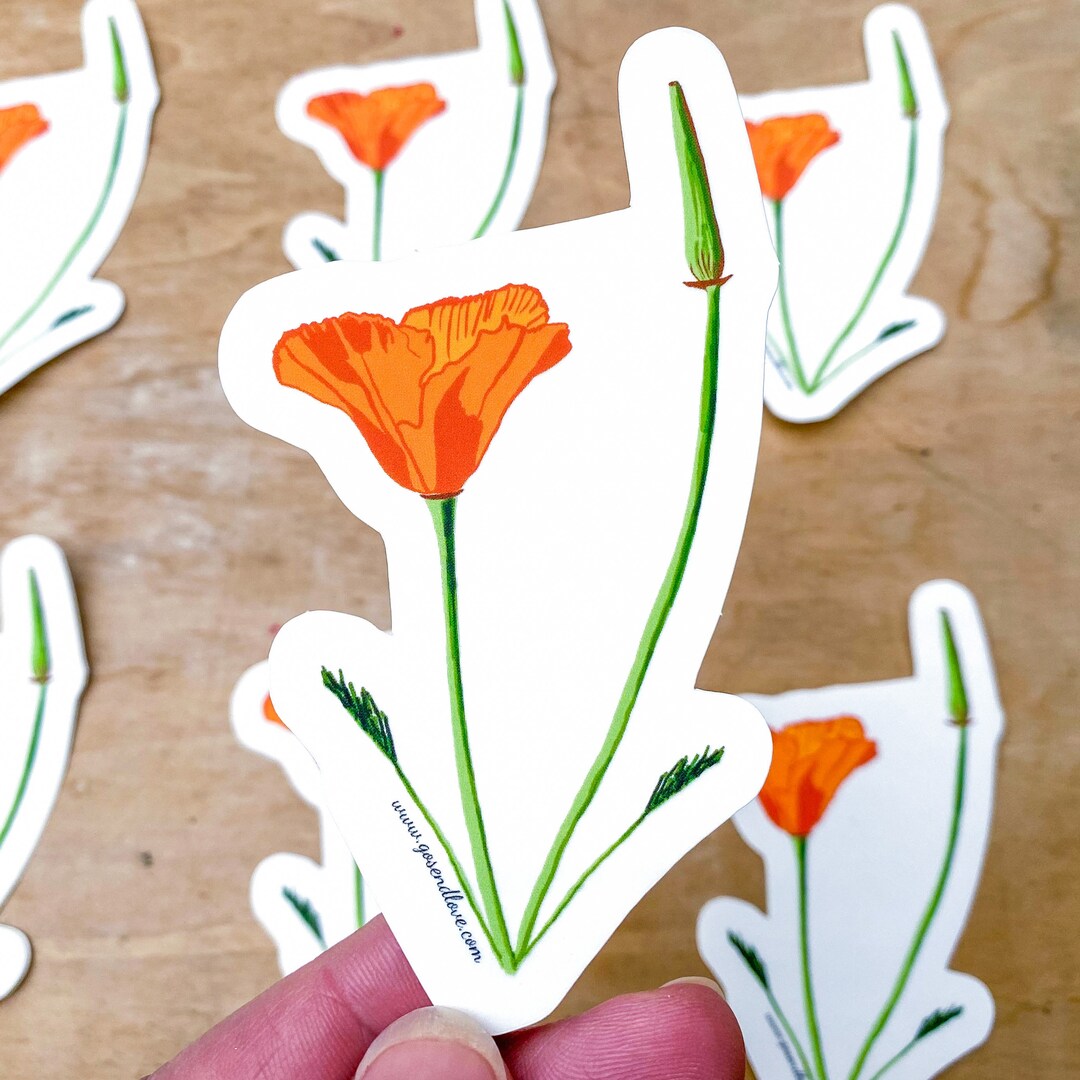 California Poppy Clear Die Cut Vinyl Sticker, Decal for Water Bottle ...