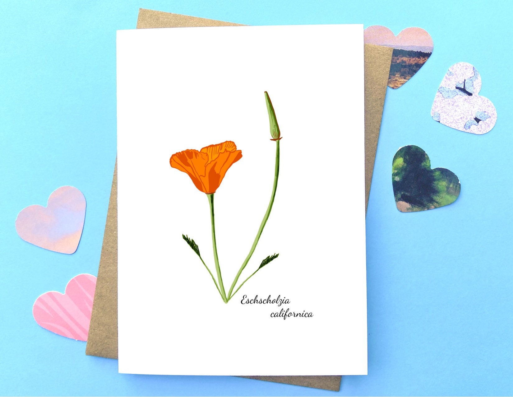 California Poppy Flower Note Card, Botanical Wildflower Stationery ...
