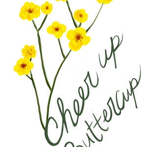 Cheer up Buttercup Pun Sympathy Card, Illustrated Flower Greeting Card ...