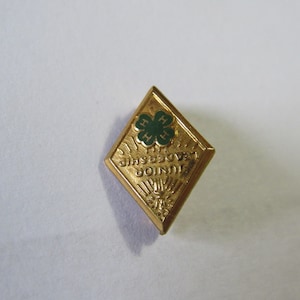 Vintage Pins, Lot of 8 4H Pins, Gold Filled, Sterling, Bronze, First ...