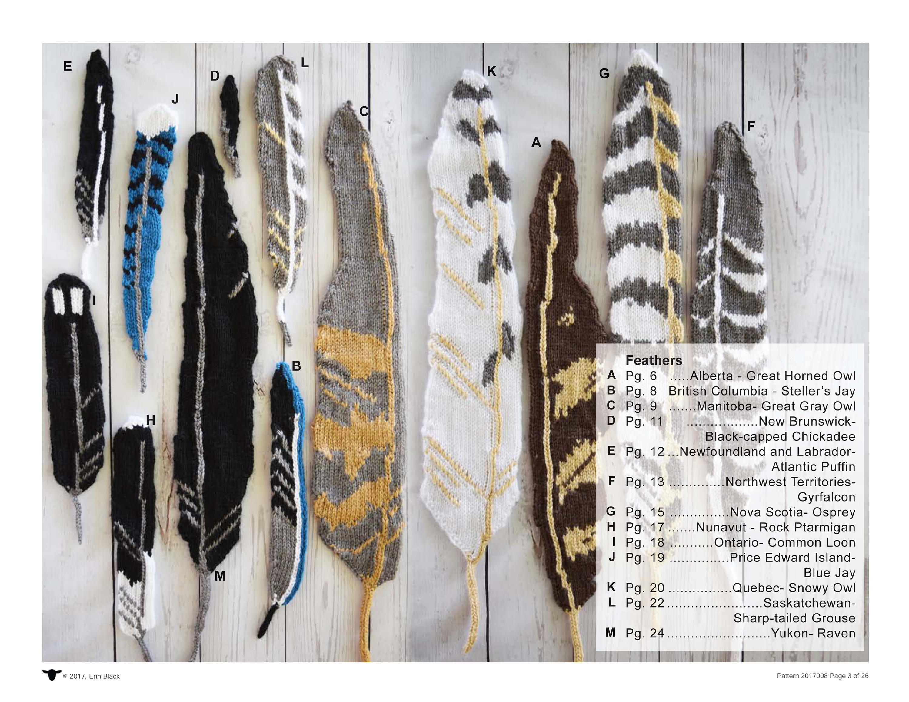 DIY Knitting PATTERN - Knit Feathers of Canada Size: 12-24" Approx ...
