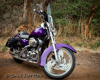 Harley Davidson Motorcycle, Fine Art Photo,purple, Brown Harley Davidson Motorcycle, Fine Art Photo,purple, Brown