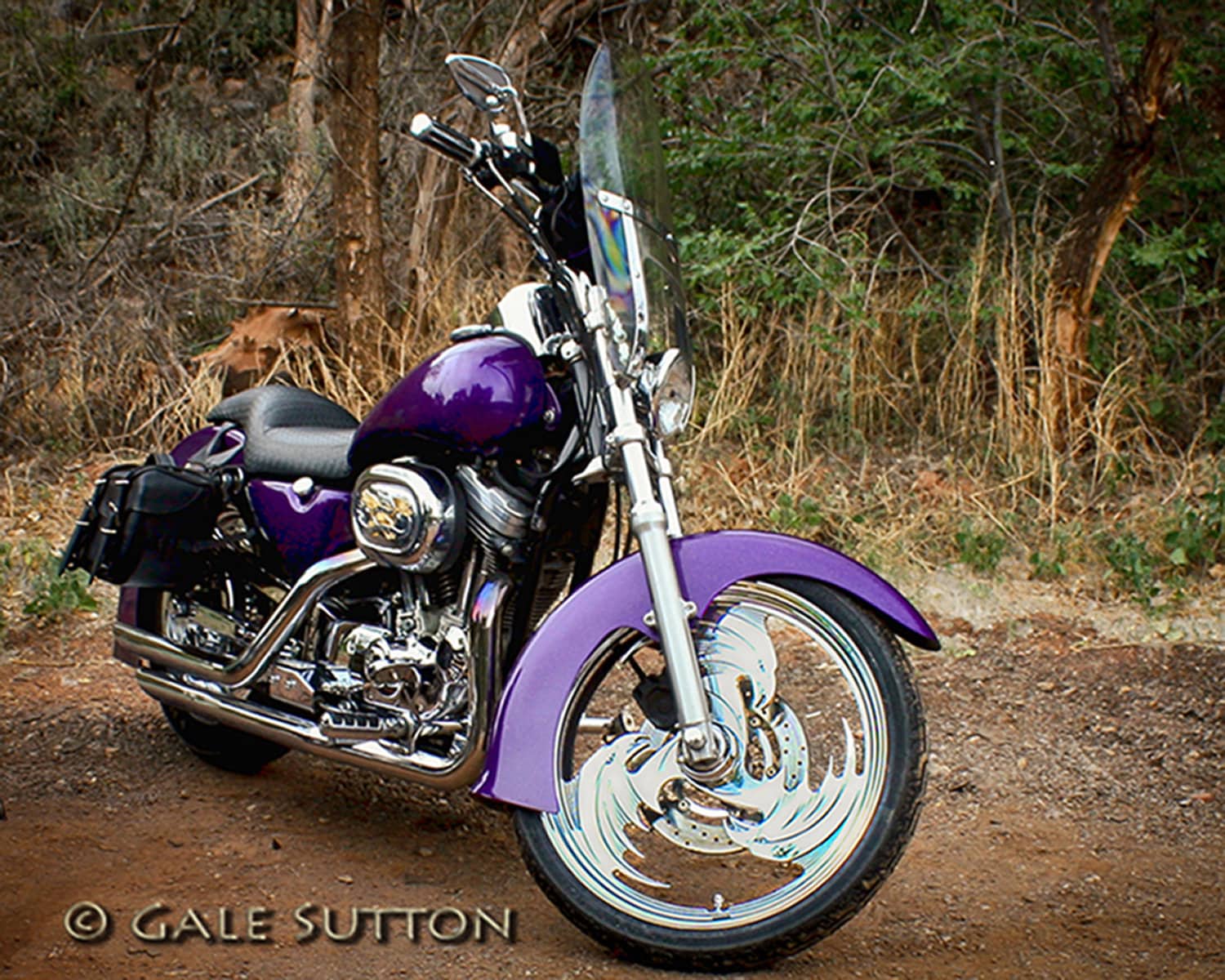 Harley Davidson Motorcycle, Fine Art Photo,purple, Brown, Harley ...