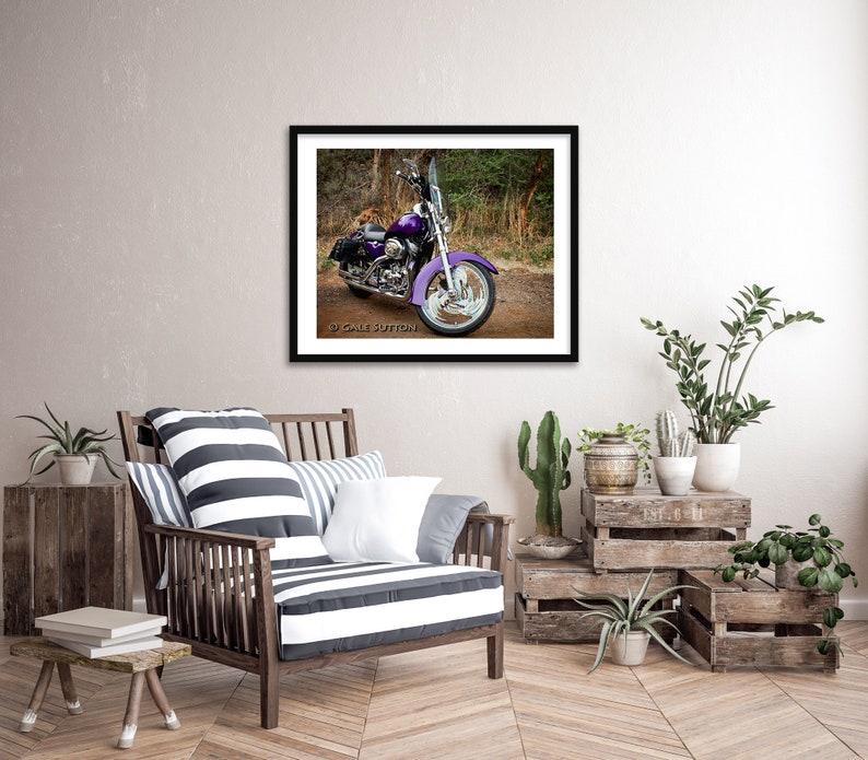 Harley Davidson Motorcycle, Fine Art Photo,purple, Brown, Harley ...