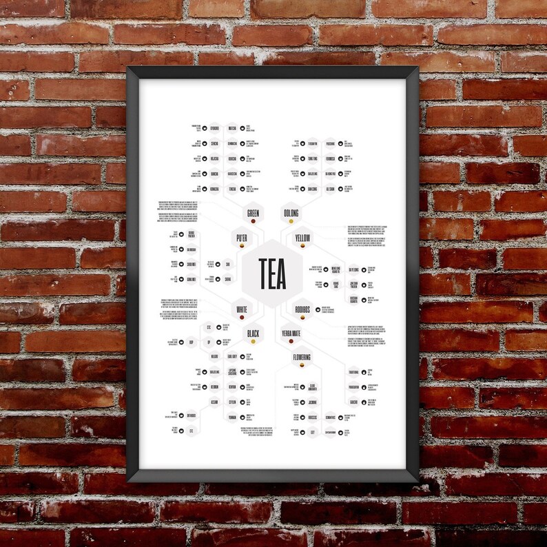 Tea Diagram - Flow Chart Poster That Meticulously Documents the ...