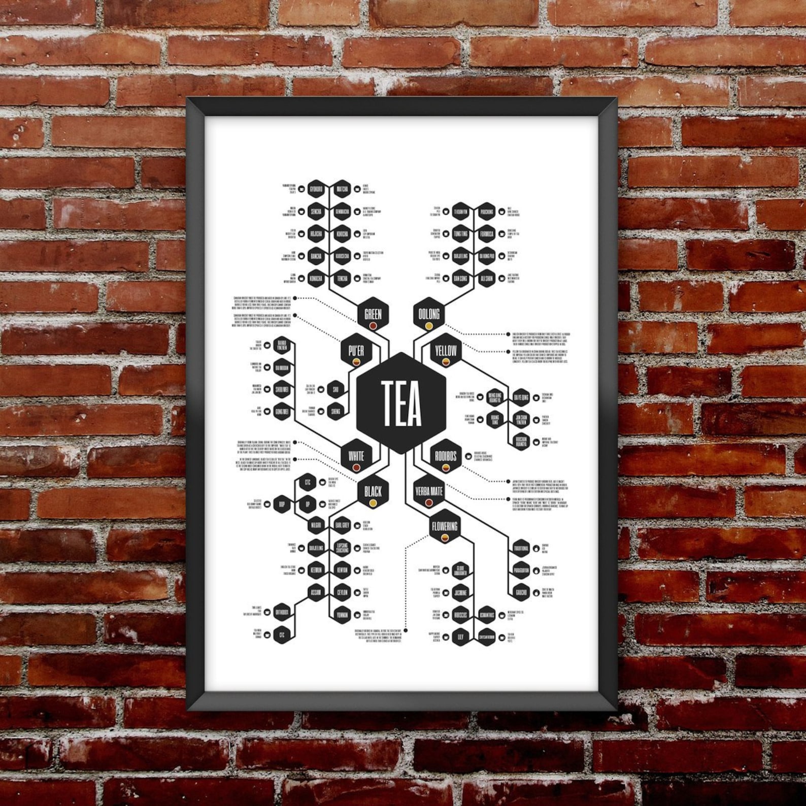 Tea Diagram - Flow Chart Poster That Meticulously Documents the ...