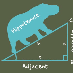 Hippotenuse Math T Shirt | Funny Math T-shirt | Nerdy T-shirt | Geeky T ...