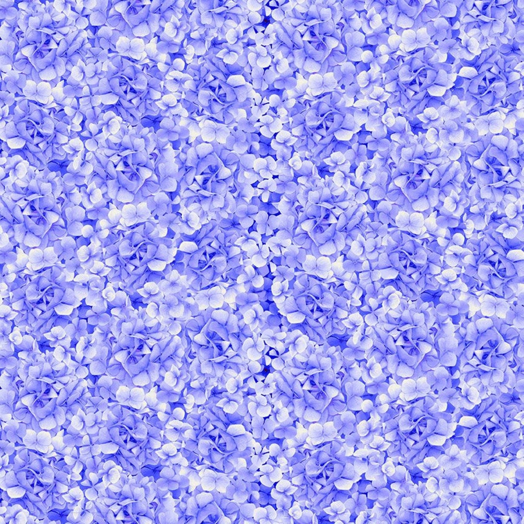 HYDRANGEA BLISS by Chong-a Hwang for Timeless Treasures Bty Item 1967-BLUE - Etsy