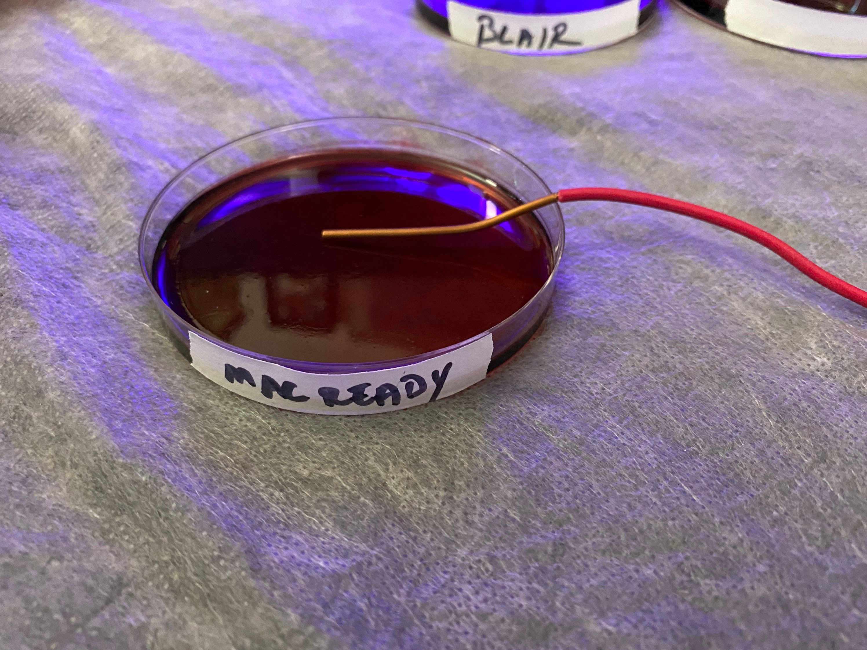 The Thing Blood Samples - Etsy