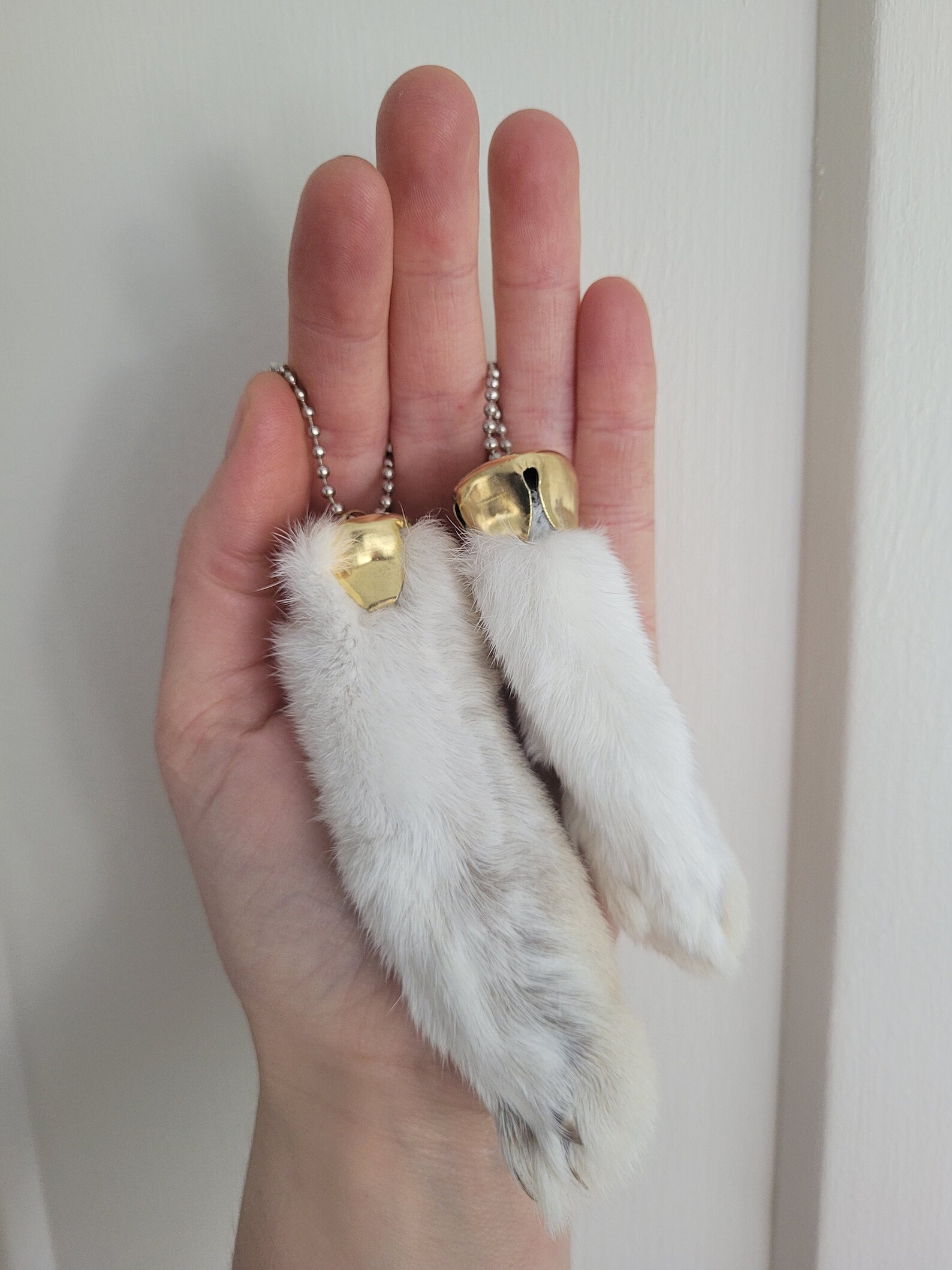 Rabbit Foot Keychain - Sustainably Sourced - Hind Foot - Etsy