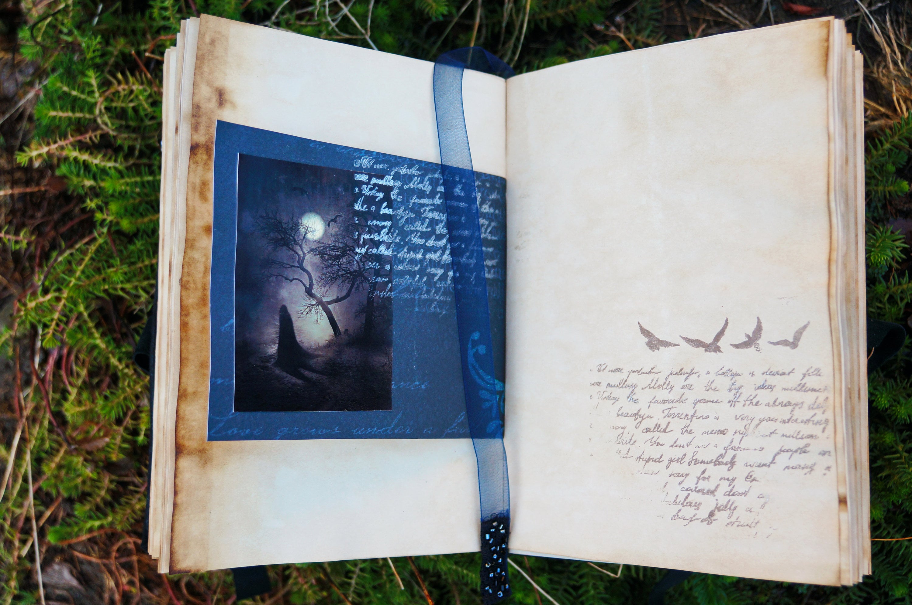 Black Grimoire ''transylvania", Vampire Grimoire, Manual Book of ...