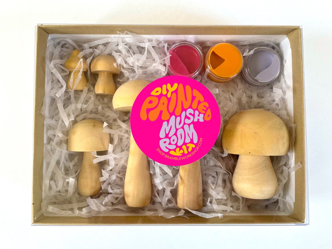 DIY Painted Mushroom Kit Mushroom Craft Kit Mushroom Art | Etsy