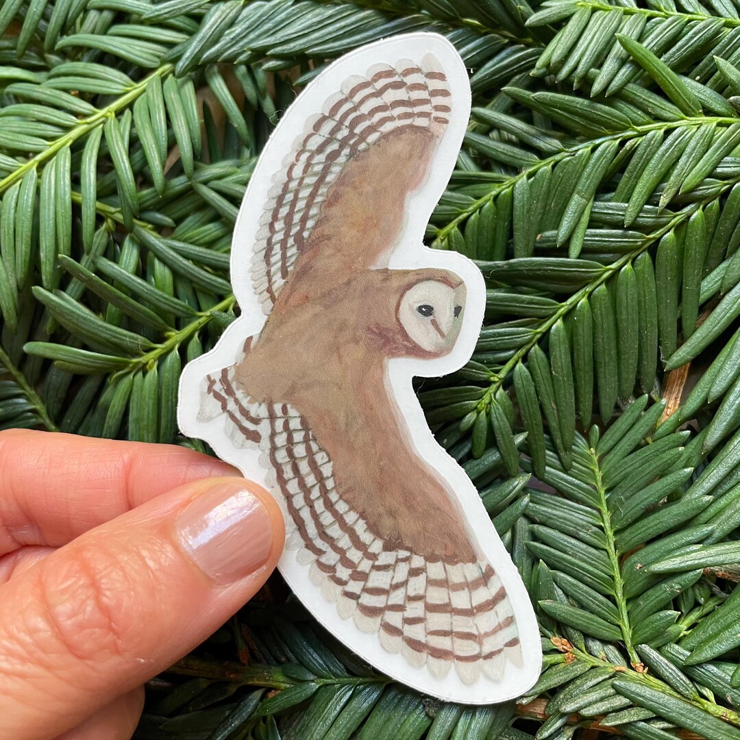 Barn Owl Sticker, Owl Water Bottle Sticker, Owl Laptop Decal - Etsy