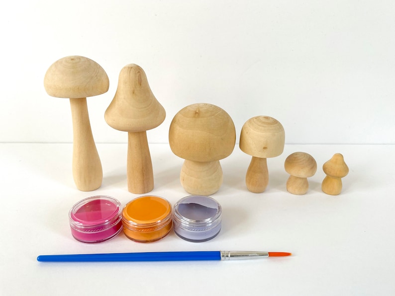 DIY Painted Mushroom Kit, Mushroom Craft Kit, Mushroom Gift - Etsy
