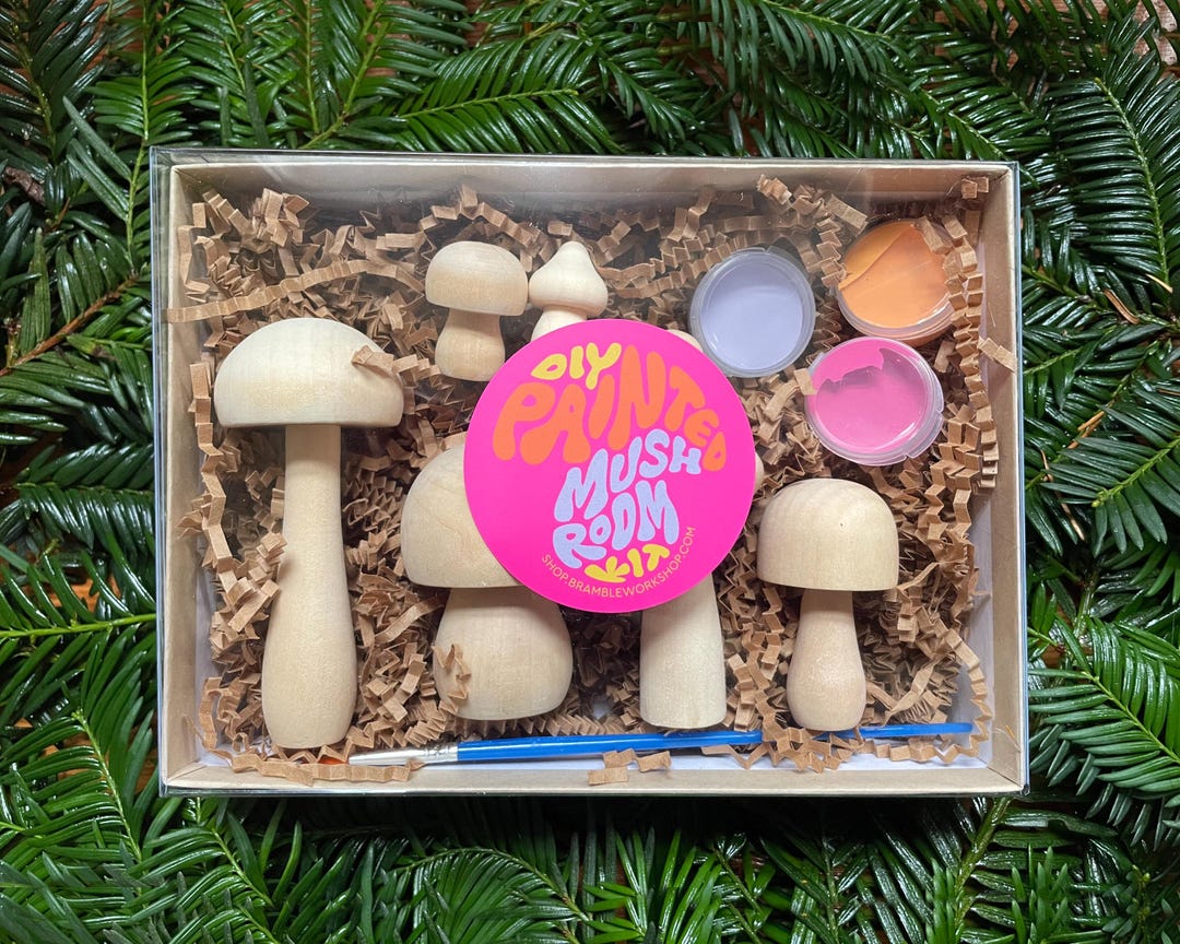 DIY Painted Mushroom Kit, Mushroom Craft Kit, Mushroom Gift - Etsy