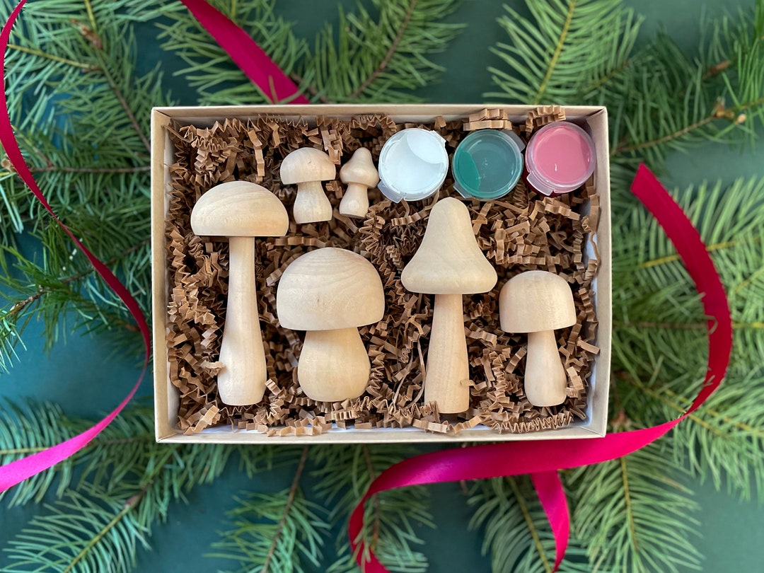 DIY Holiday Mushroom Kit, Mushroom Craft Kit, Mushroom Gift - Etsy