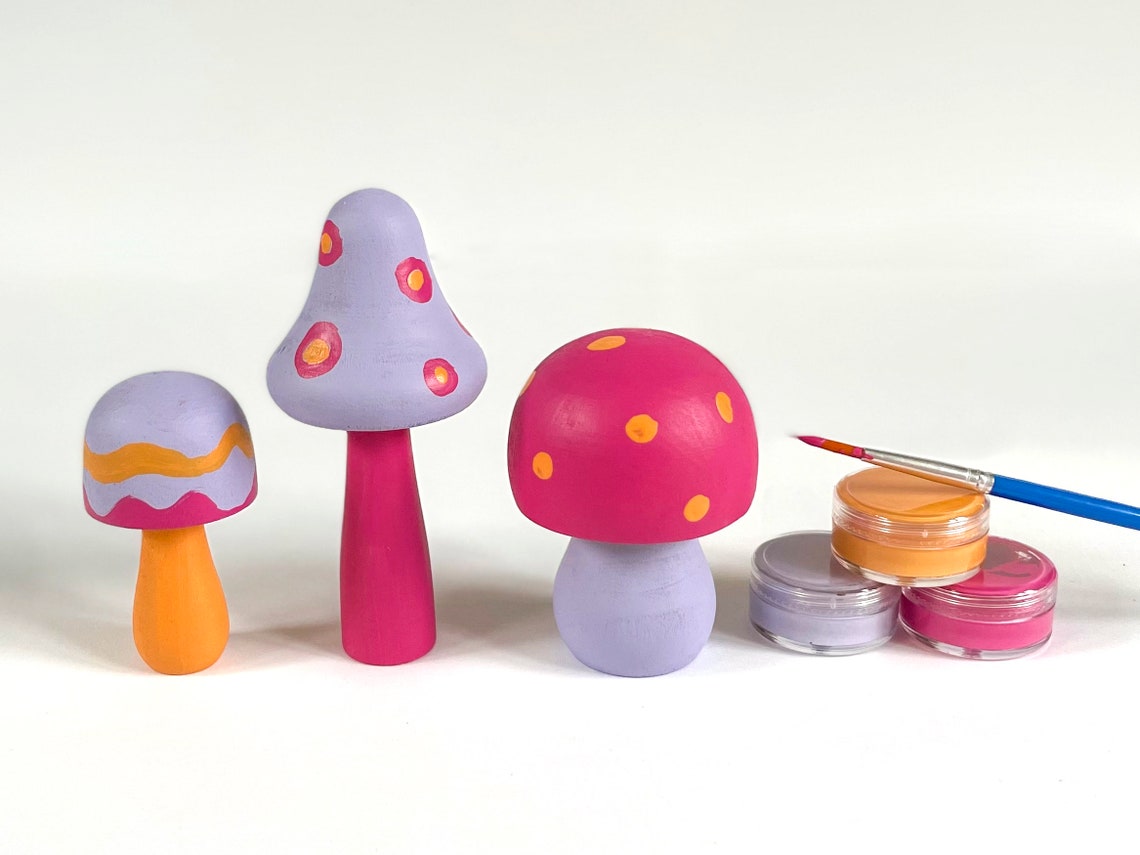 DIY Painted Mushroom Kit, Mushroom Craft Kit, Mushroom Gift - Etsy