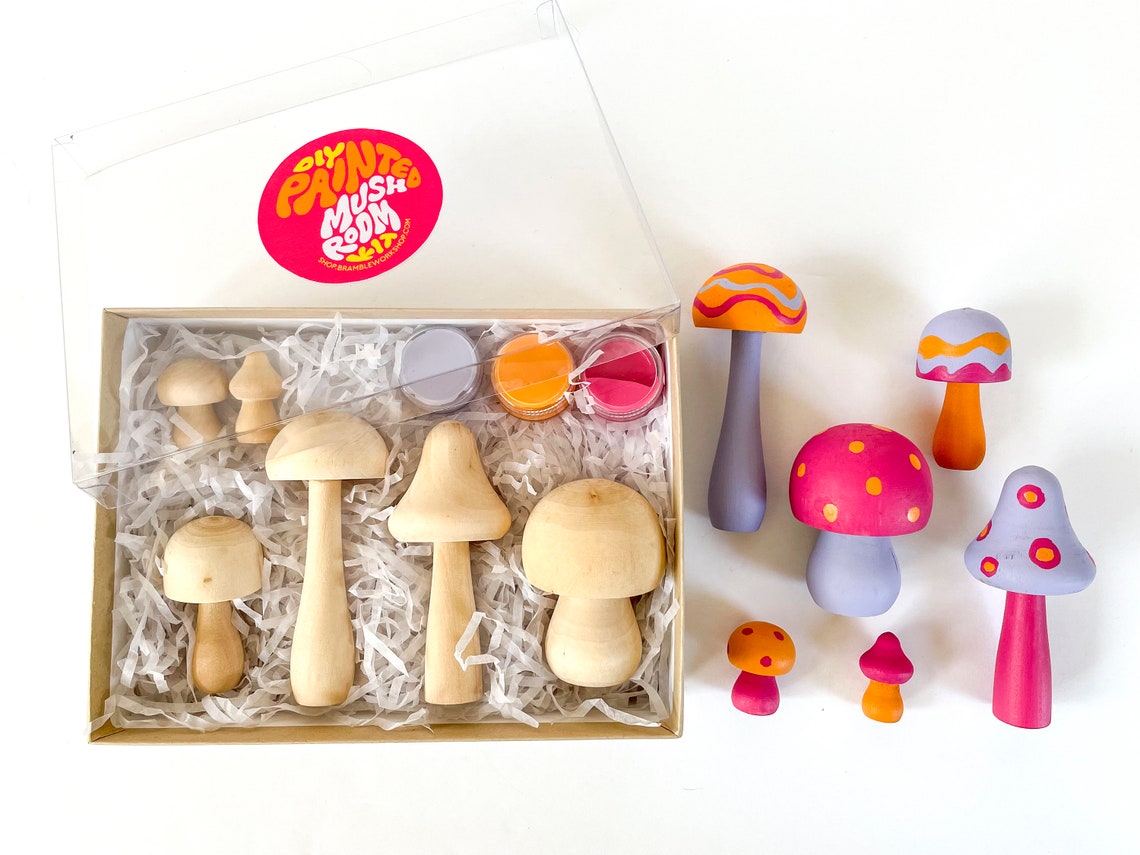 DIY Painted Mushroom Kit, Mushroom Craft Kit, Mushroom Gift - Etsy