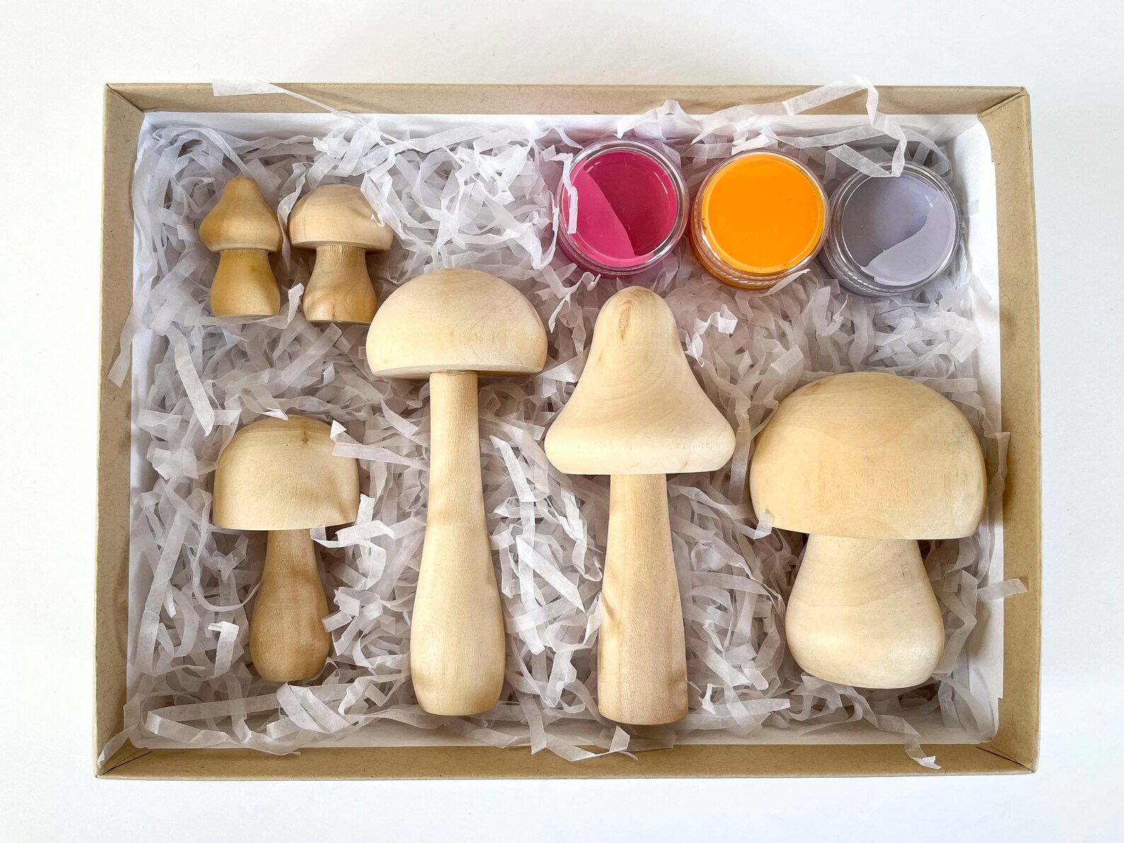 DIY Painted Mushroom Kit Mushroom Craft Kit Mushroom Art | Etsy