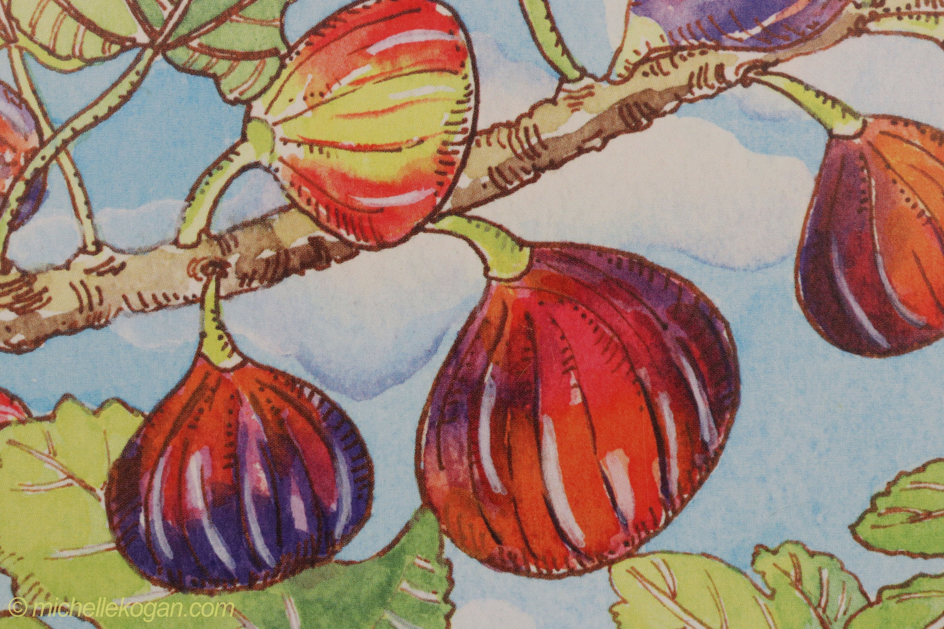 Fig Branch Rosh Hashanah Greeting Card, by Michelle Kogan, Celebrate ...