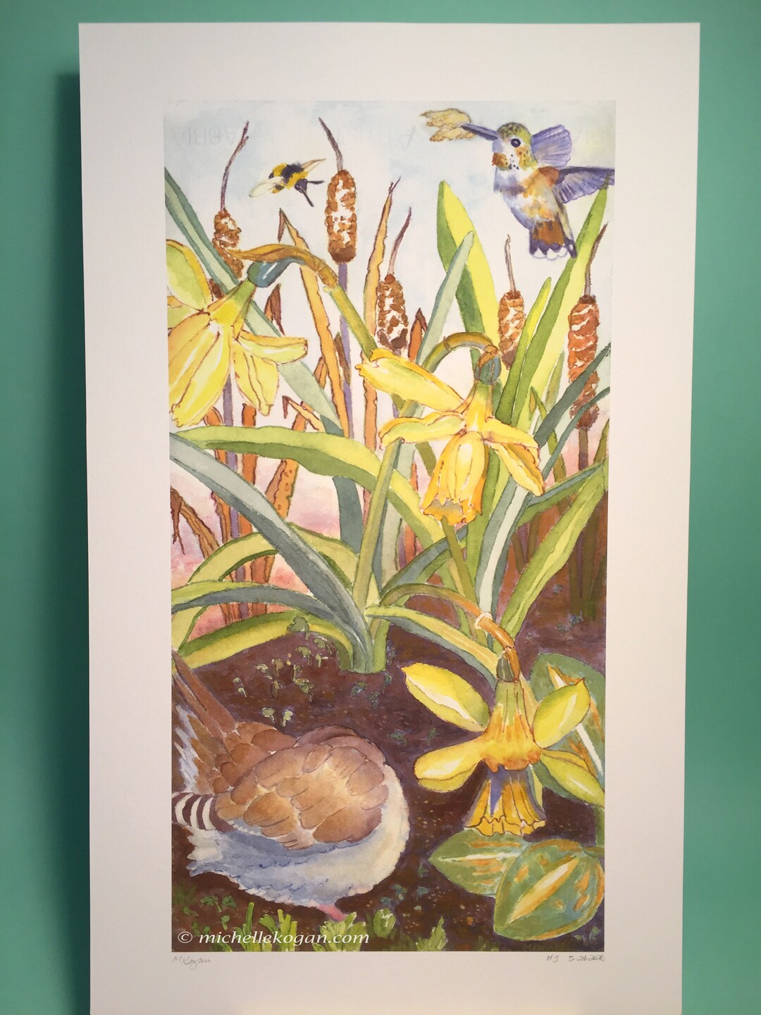 Mourning Dove Hummingbird Bee & Narcissus Archival Print, by Michelle ...