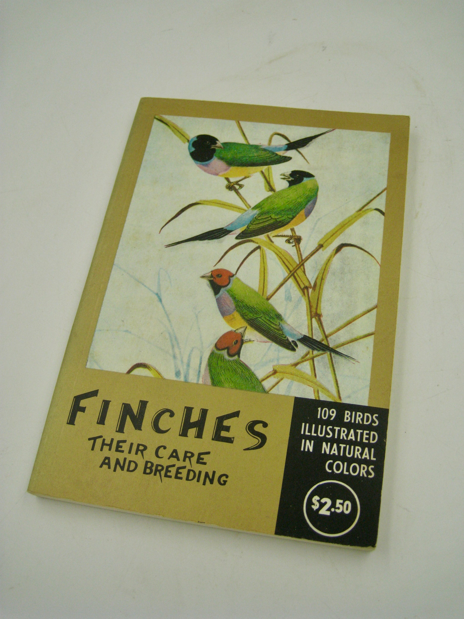 Finches Their Care and Breeding Bird Haven Books Possibly | Etsy