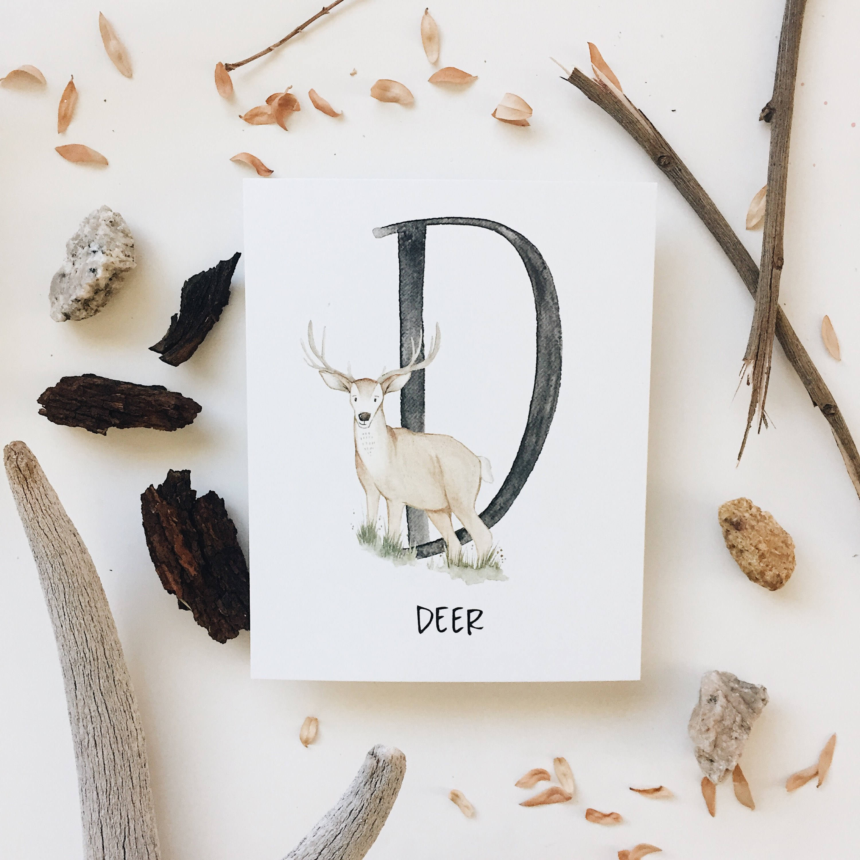 Alphabet Adventure Flash Cards// Outdoors Girls Room Decor | Etsy