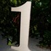 20" Birthday Large Wooden Number - Photography Prop- First Birthday ...