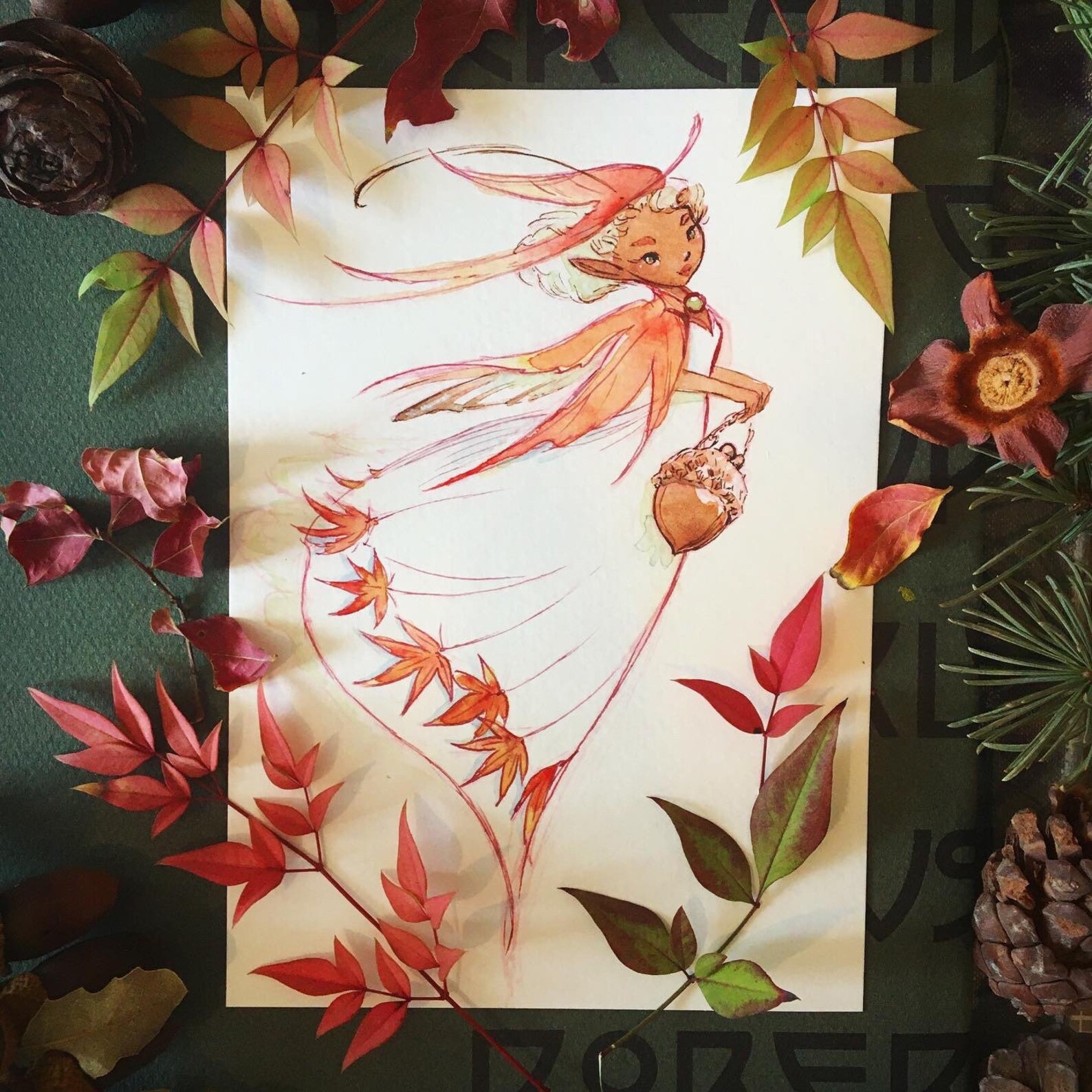 Fall Fairies Star Maple: Art Print | Etsy