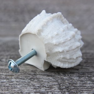 Shell Knobs Beach Knobs and Pulls Beach House White Knobs Drawer Knobs Cabinet Knobs Kitchen ...
