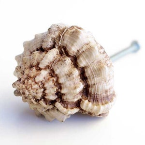 Beach House Cabinet Knobs Drawer Knobs Cupboard Knobs Dresser Knobs ...