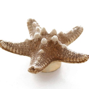 Starfish Cabinet Beach House Cupboard Knobs Drawer Knobs Decor Decorative Knobs Kitchen Pulls ...