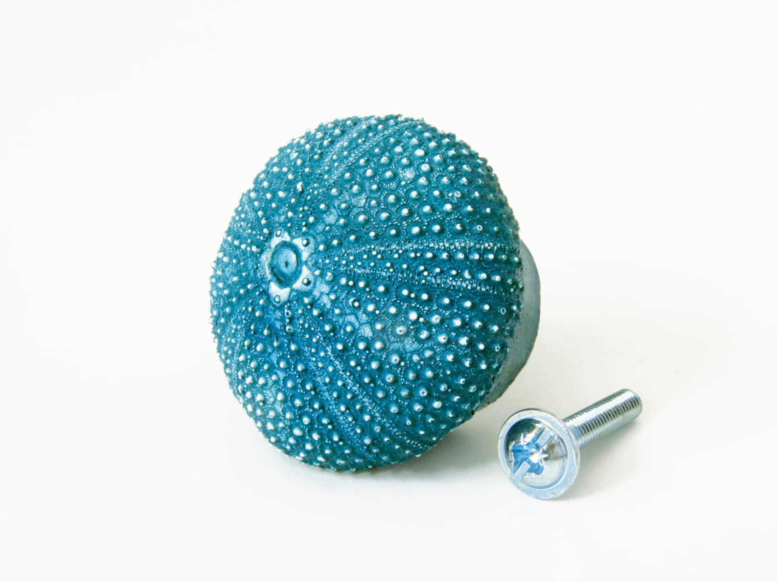 Beach House Cupboard Knobs Drawer Knobs Cabinet Knobs Dresser Knobs Decorative Knobs Kitchen ...