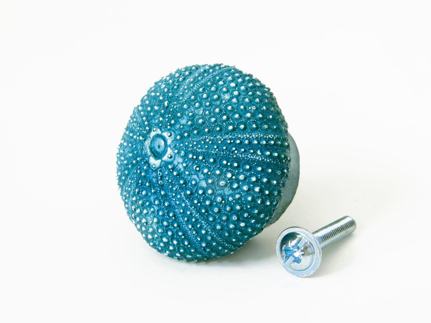 Beach House Cupboard Knobs Drawer Knobs Cabinet Knobs Dresser Knobs Decorative Knobs Kitchen ...