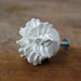 Shell Knobs Beach Knobs and Pulls Beach House White Knobs Drawer Knobs ...