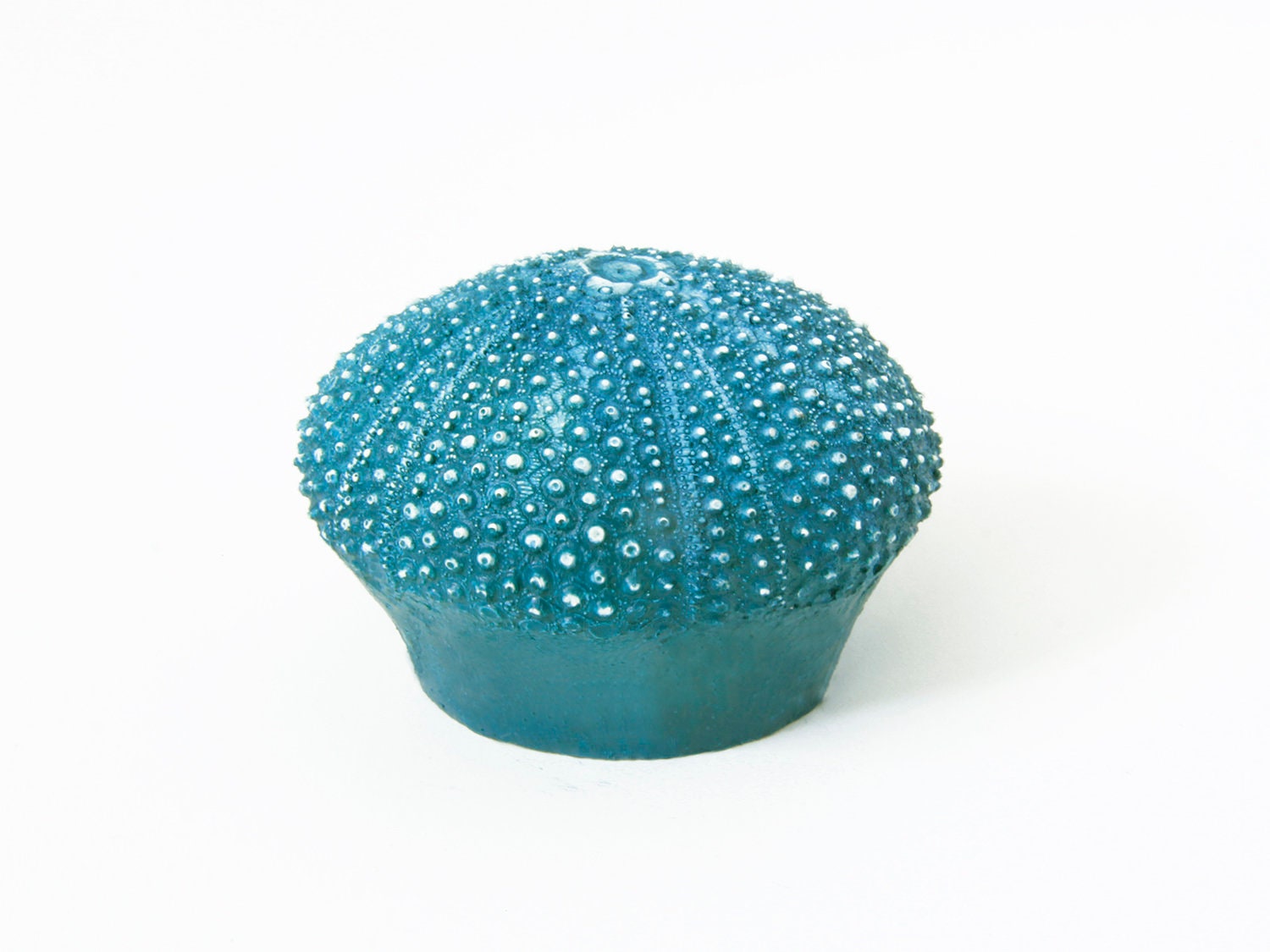 Beach House Cupboard Knobs Drawer Knobs Cabinet Knobs Dresser Knobs ...